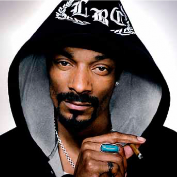 Public Speaking is Dangerous, but Snoop Doggy Dogg Can Assist ...